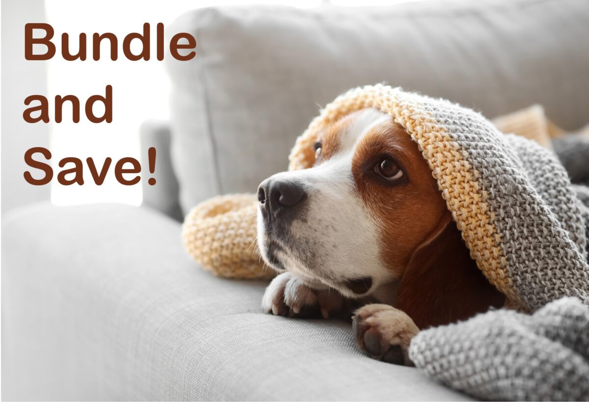 Washington Metro Oasis – Lifelong Adventure